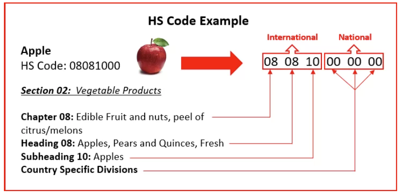 HS Codes: Impact on Your Business Explained