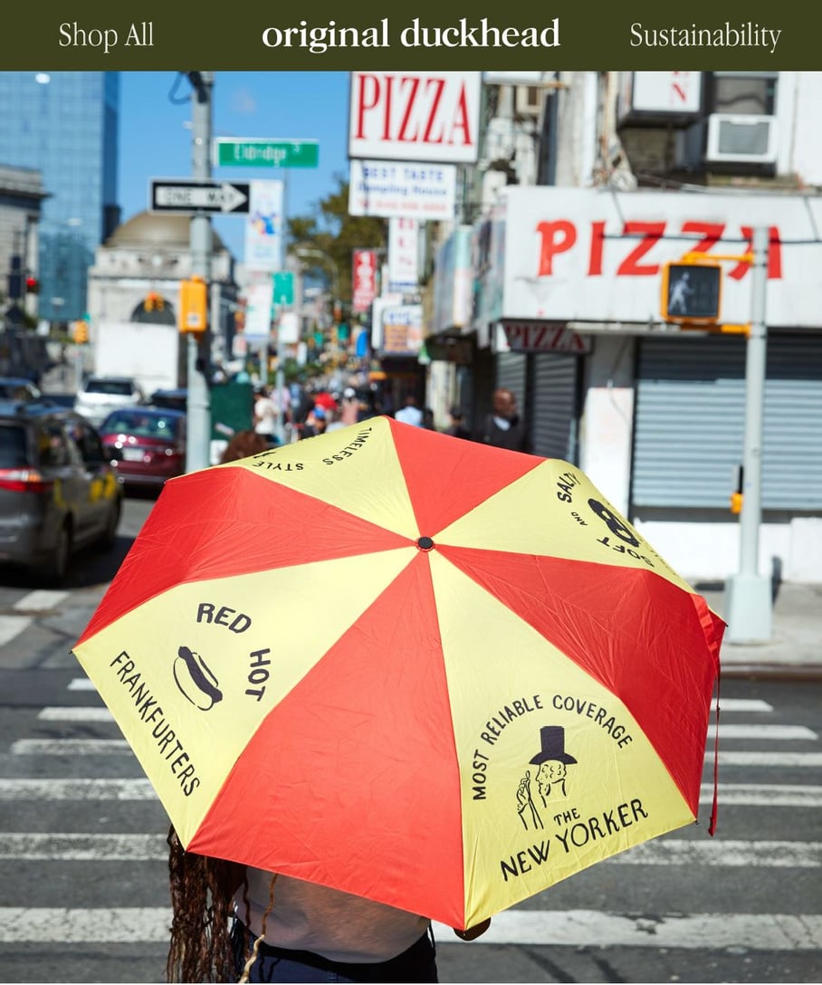 7 Small Business Newsletter Examples and Ideas (You Can Actually Execute)